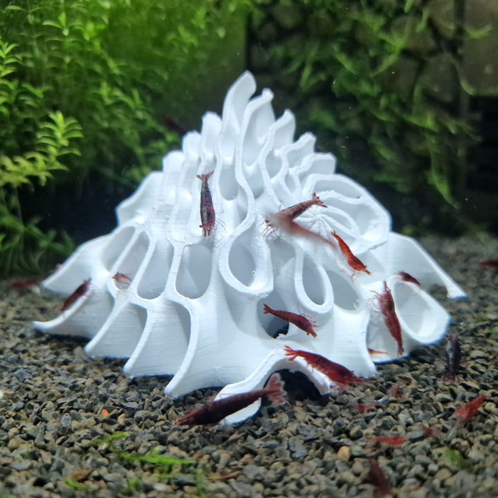 3D Printable Gyroid Shrimp Hide | 3D Printable Aquarium Shrimp Shelter ...