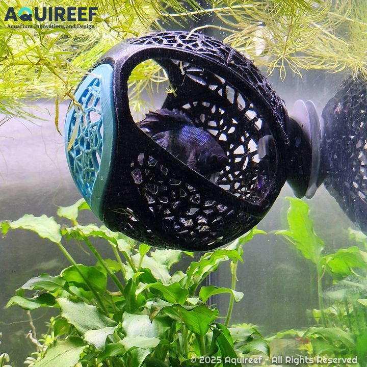 3D Printable Betta Cave Hammock | Floating, Mounted & Free Placement ...