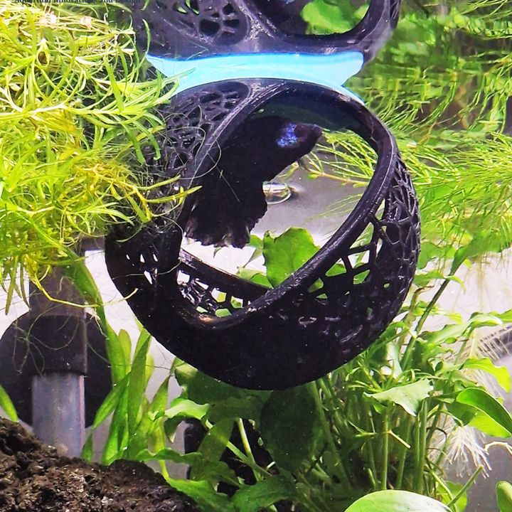 3D Printable Betta Cave Hammock | Floating, Mounted & Free Placement ...