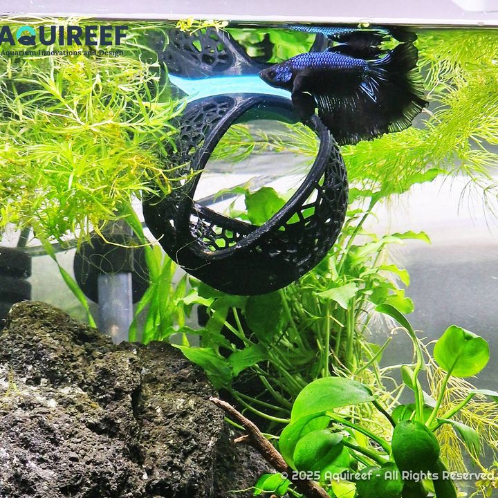 3D Printable Betta Cave Hammock | Floating, Mounted & Free Placement ...