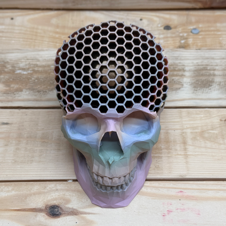 3D Printable Brain Rot Low Poly Skull by ENIQUE3D