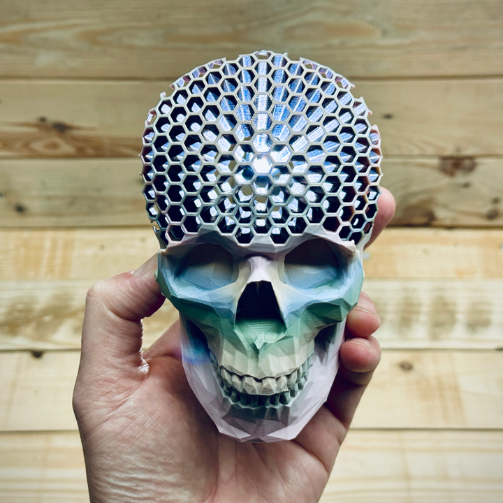 3D Printable Brain Rot Low Poly Skull by ENIQUE3D