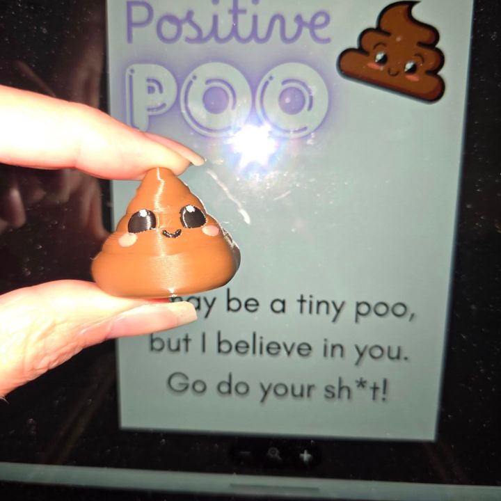 3D Printable Positive Poo-- Pocket Pet Keychain and Card by Jambaby Designs