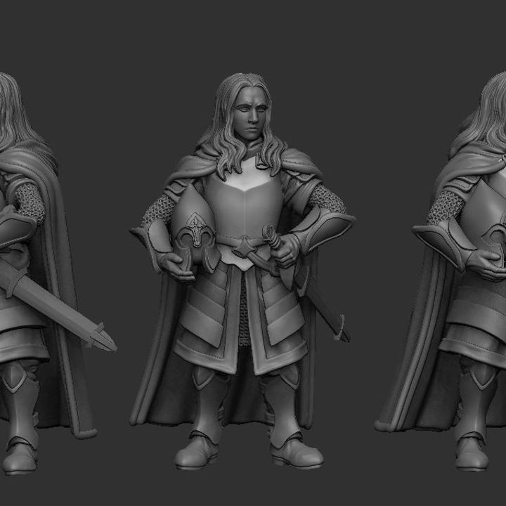 3D Printable Captain of Capital Guard by Dandelion in Middle Earth