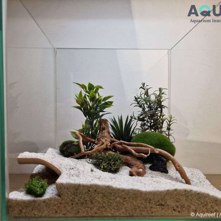 3D Printable Aquarium and Terrarium Corner Hide | 3D Printable Fish ...