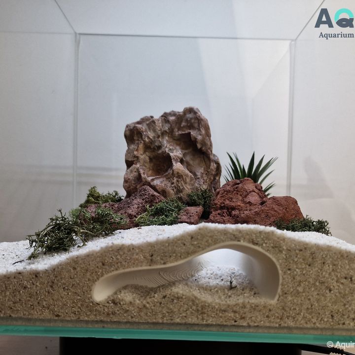 3D Printable Terrarium and Aquarium Cave - Observation Tunnel STL File ...