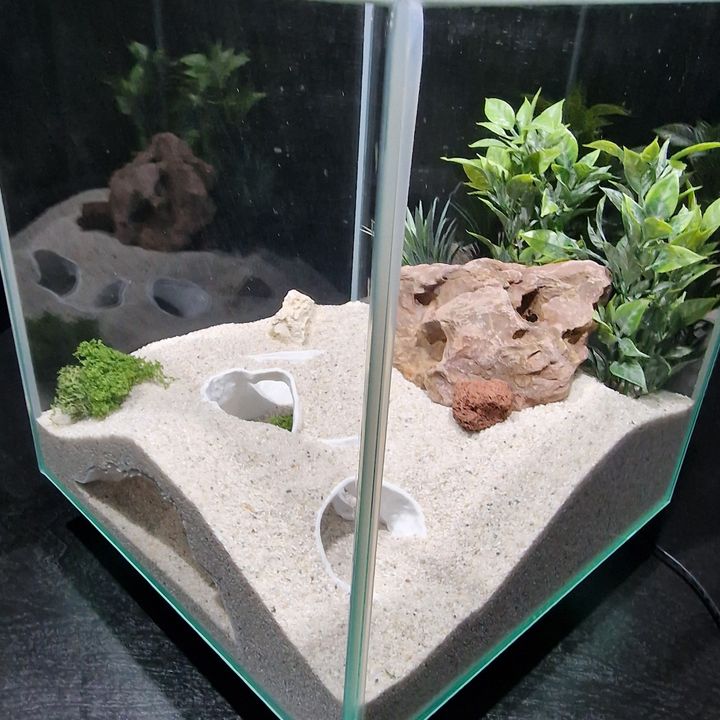 3D Printable Vivarium Big Observation Cave | Aquarium Decor | Terrarium ...