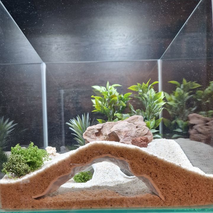 3D Printable Vivarium Big Observation Cave | Aquarium Decor | Terrarium ...