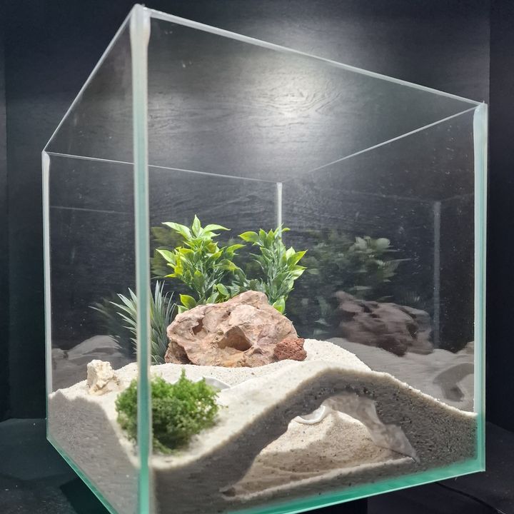 3D Printable Vivarium Big Observation Cave | Aquarium Decor | Terrarium ...
