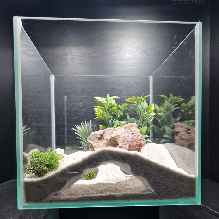 3D Printable Vivarium Big Observation Cave | Aquarium Decor | Terrarium ...