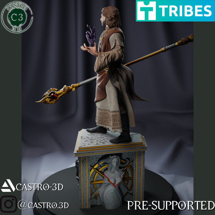 3D Printable The Wizard of Waterdeep - BG3 75mm and 32mm mini by Castro3D