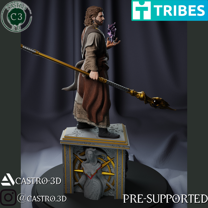 3D Printable The Wizard of Waterdeep - BG3 75mm and 32mm mini by Castro3D