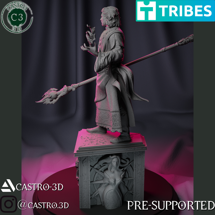 3D Printable The Wizard of Waterdeep - BG3 75mm and 32mm mini by Castro3D