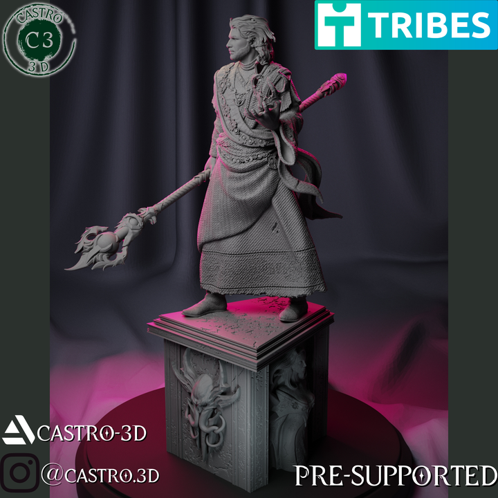 3D Printable The Wizard of Waterdeep - BG3 75mm and 32mm mini by Castro3D