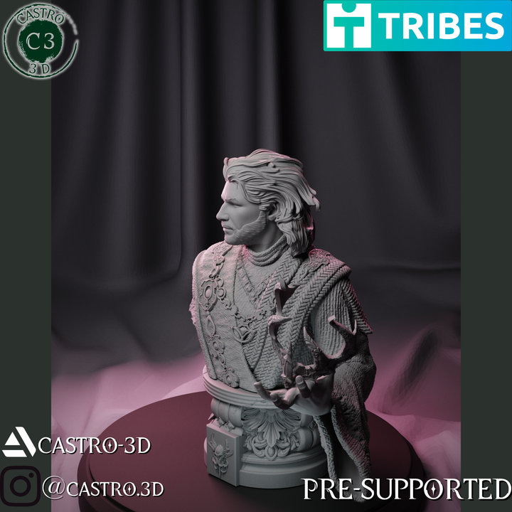 3D Printable The Wizard of Waterdeep - BG3 Bust by Castro3D