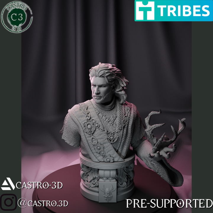 3D Printable The Wizard of Waterdeep - BG3 Bust by Castro3D