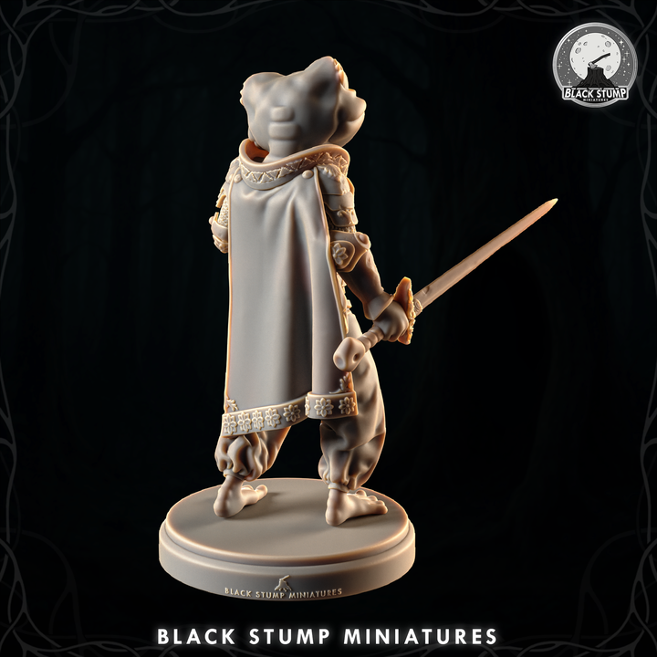 3D Printable Wubwub Heroes Original Race 5E + Shadowdark Description + PDF! by Arcane Chamber ...