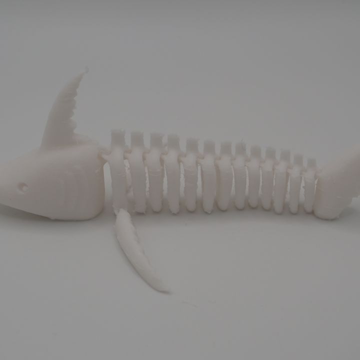 3D Printable Articulated Fish / Marlin Swordfish fish Skeleton 3d Print ...