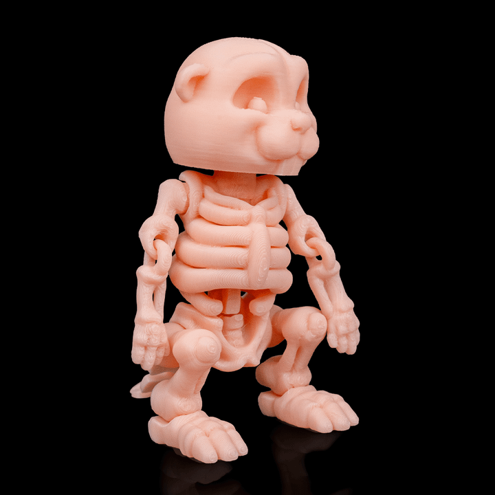 3D Printable Skeleton Beaver by Stlflix