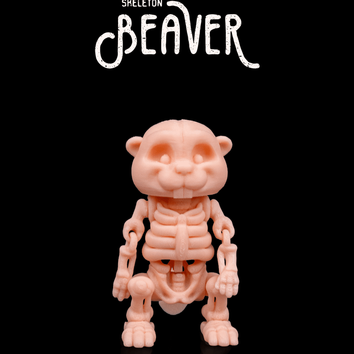 3D Printable Skeleton Beaver by Stlflix