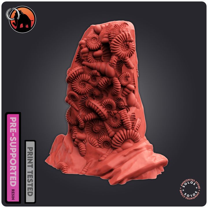3D Printable Ammonites Stone by Plastic Age