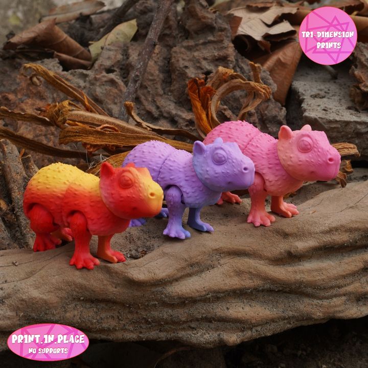 3D Printable Flexi Capybara by TriDimensionPrints