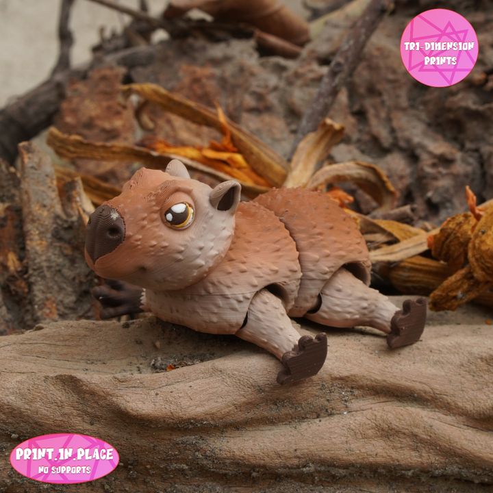 3D Printable Flexi Capybara by TriDimensionPrints