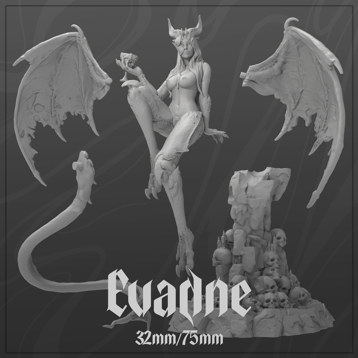 3D Printable Evadne 32mm and 75mm by Dungeons & Maidens