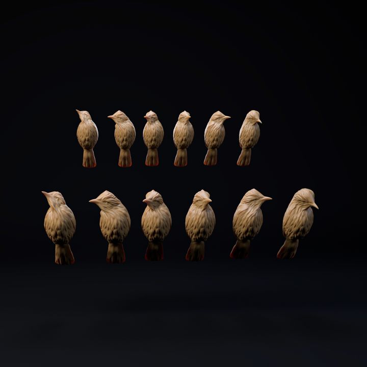 3D Printable Birds for detailing dinosaur figures (or animals) 1-35 ...