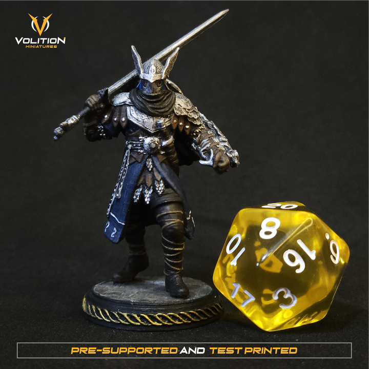 3D Printable Wayfarer | For Board Game | Pre-supported by Volition ...