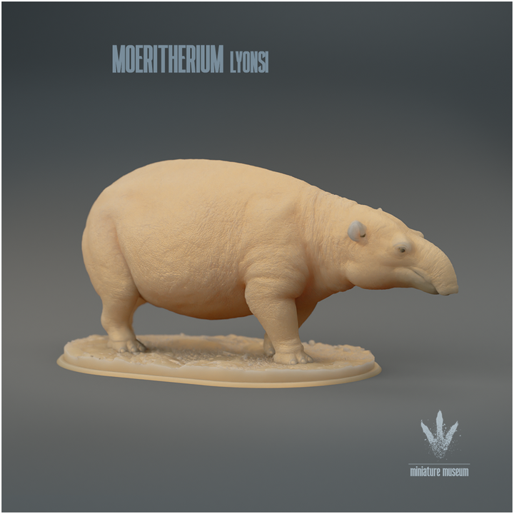 3D Printable Moeritherium lyonsi : The Beast from Lake Moeris by ...