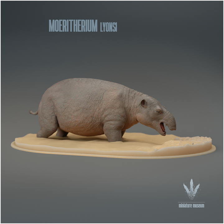 3D Printable Moeritherium lyonsi : Feeding by Miniature Museum
