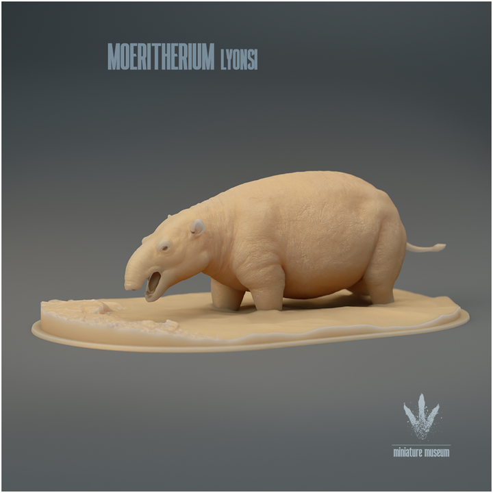 3D Printable Moeritherium lyonsi : Feeding by Miniature Museum