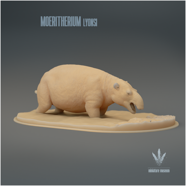 3D Printable Moeritherium lyonsi : Feeding by Miniature Museum