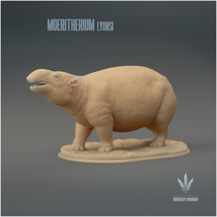 3D Printable Moeritherium lyonsi : Walking by Miniature Museum