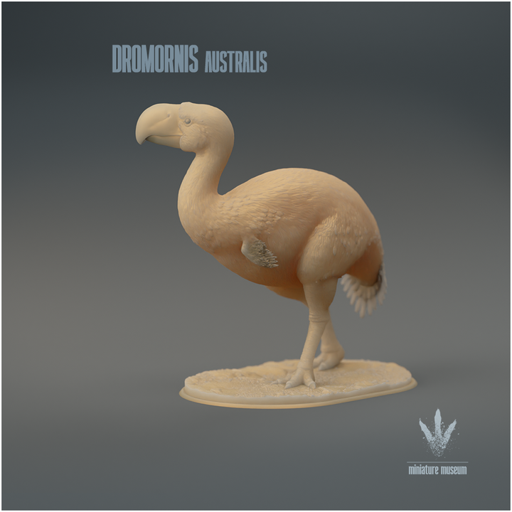 3D Printable Dromornis australis : The Giant Bird by Miniature Museum
