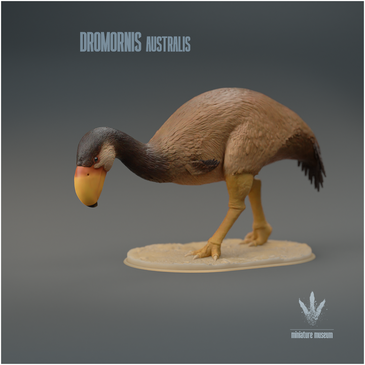 3D Printable Dromornis australis : Searching by Miniature Museum