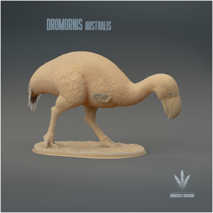 3D Printable Dromornis australis : Searching by Miniature Museum