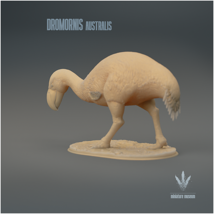 3D Printable Dromornis australis : Searching by Miniature Museum
