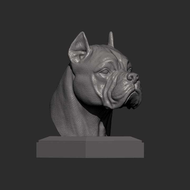 3D Printable Cane Corso bust by Alexander3dart