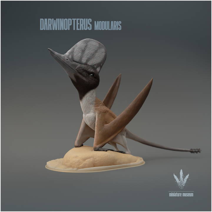3D Printable Darwinopterus modularis : Darwin's wing by Miniature Museum