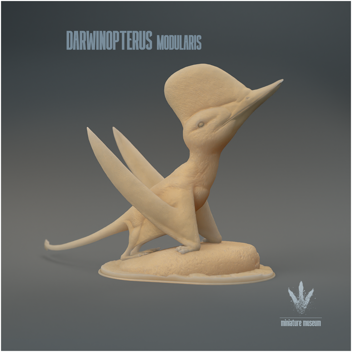 3D Printable Darwinopterus modularis : Darwin's wing by Miniature Museum