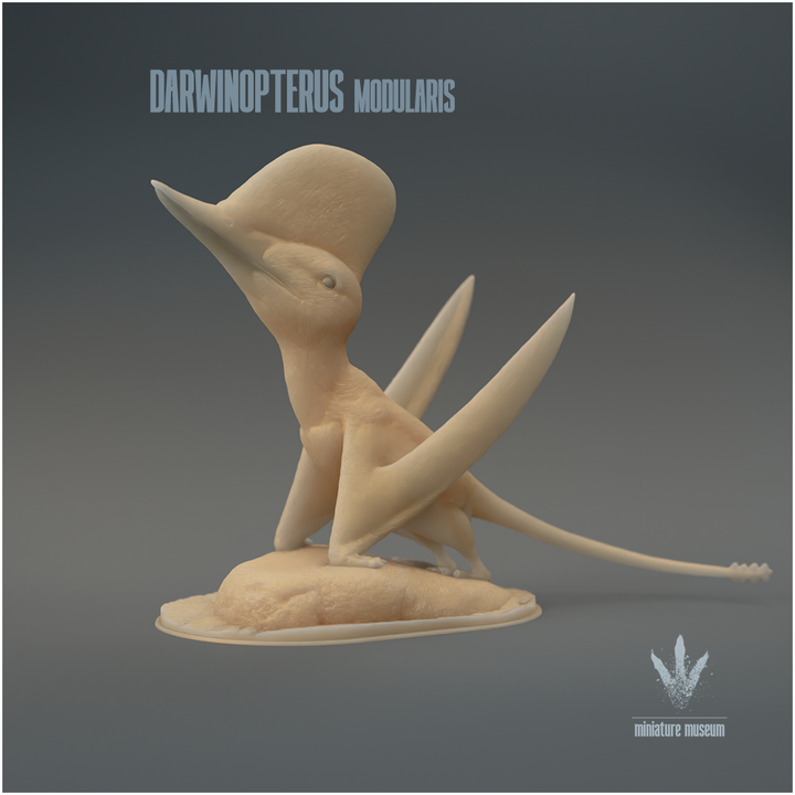 3D Printable Darwinopterus modularis : Darwin's wing by Miniature Museum