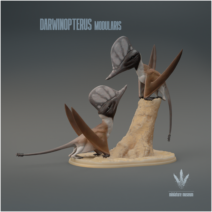 3D Printable Darwinopterus modularis : Couple by Miniature Museum