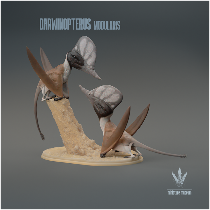 3D Printable Darwinopterus modularis : Couple by Miniature Museum