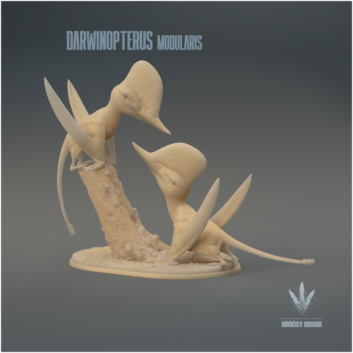 3D Printable Darwinopterus modularis : Couple by Miniature Museum