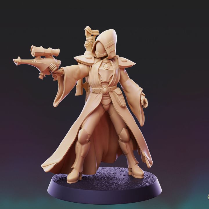 3D Printable Space Elf - Male Snipers - Bundle by PSMiniatures