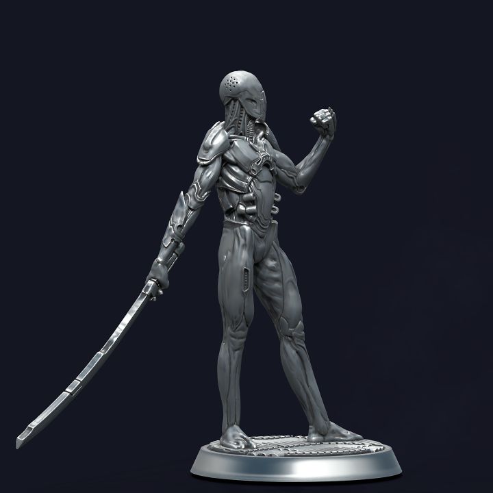 3D Printable Cyborg Ninja by TheSurrealFactory