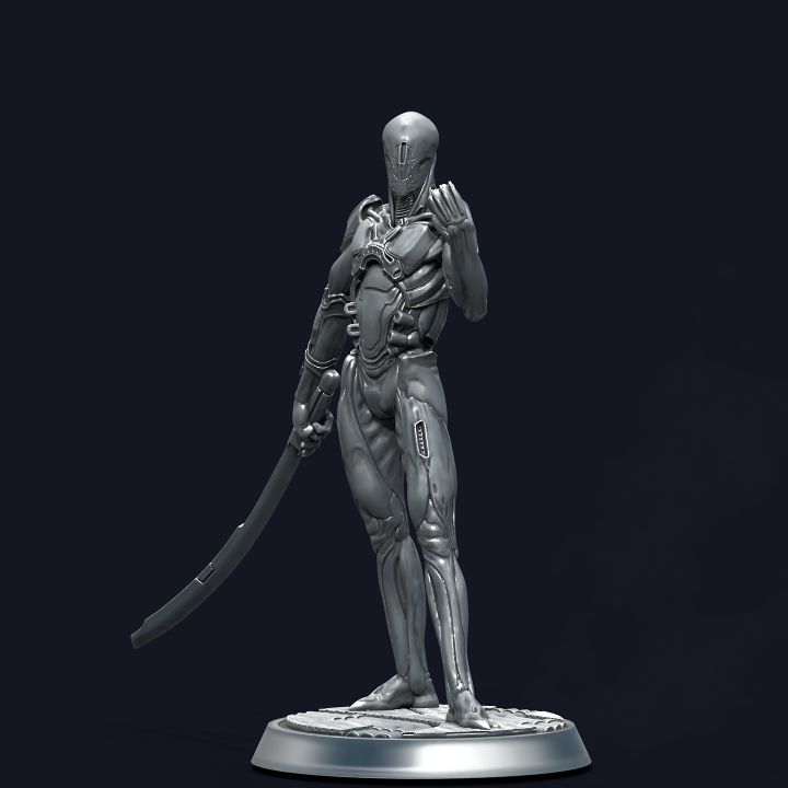 3D Printable Cyborg Ninja by TheSurrealFactory