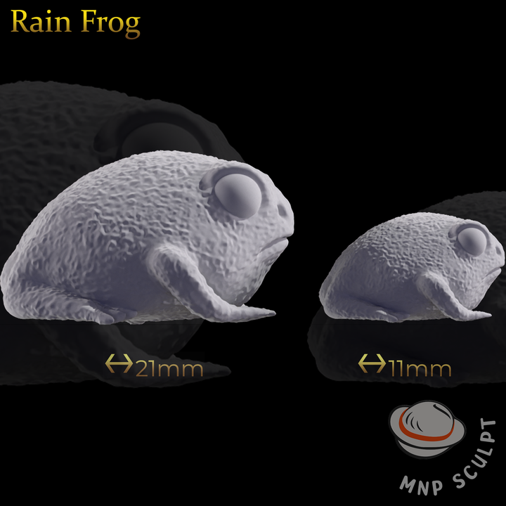 3D Printable Rain Frog by MNP Sculpt